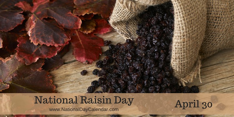 Happy National Raisin Day! | Joanne Guidoccio