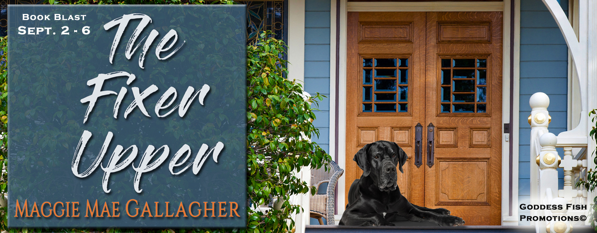 Book Blast: The Fixer-Upper | Joanne Guidoccio