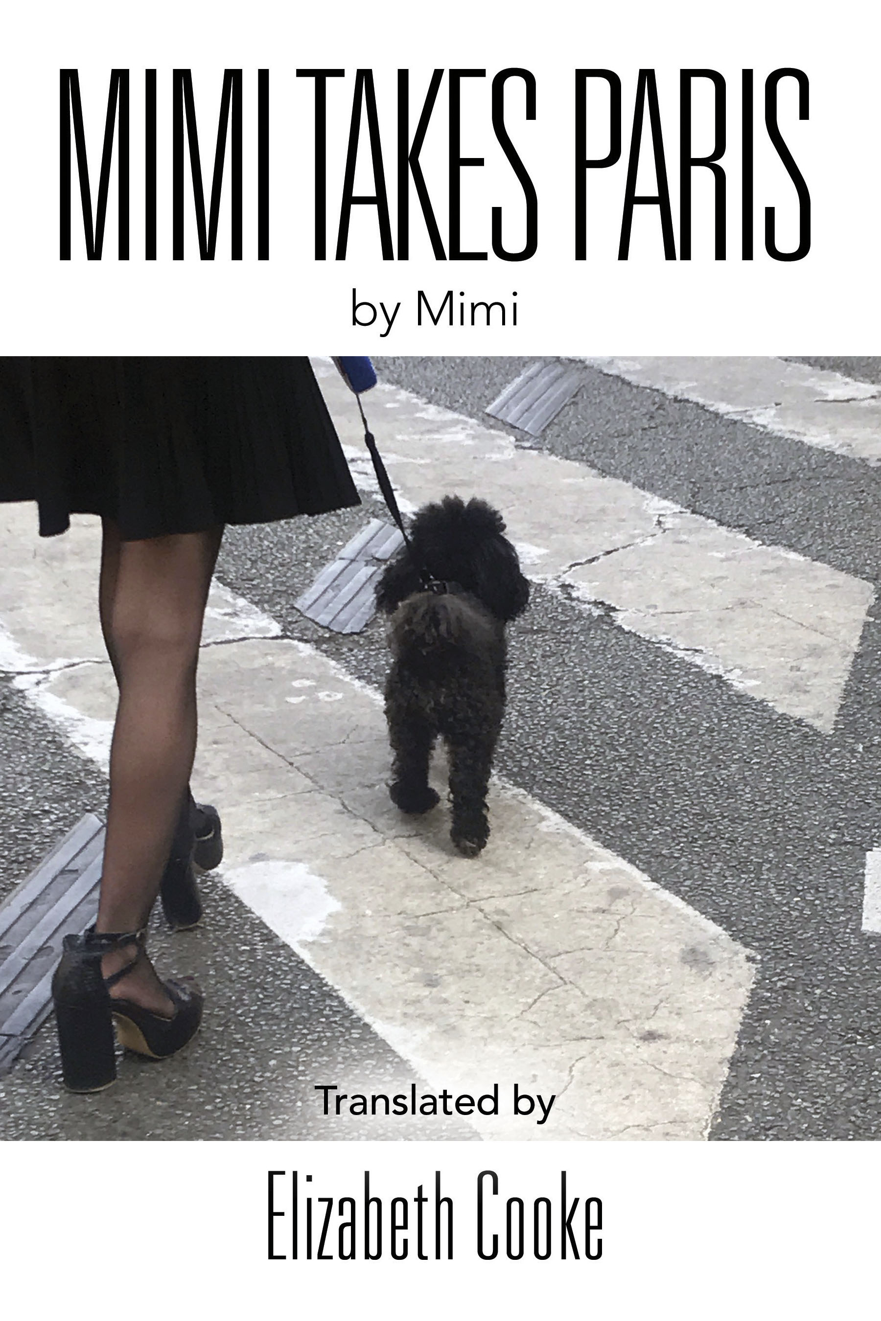 Blurb Blitz Tour: Mimi Takes Paris | Joanne Guidoccio