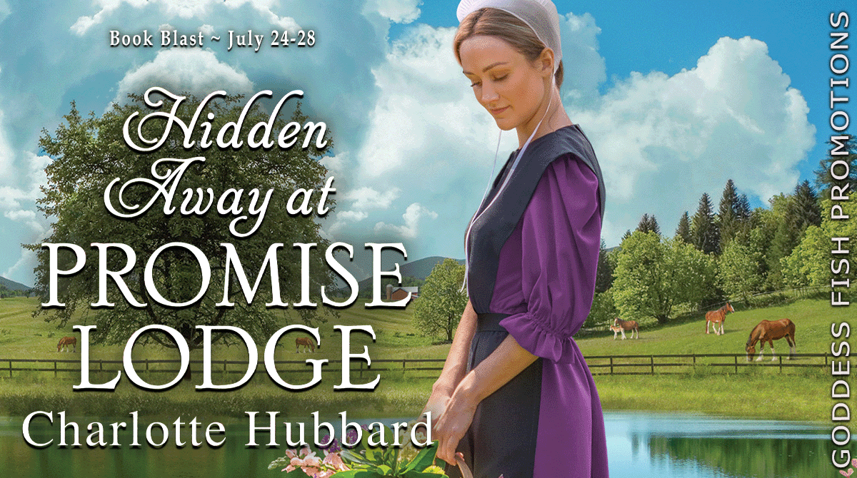 Book Blast: Hidden Away at Promise Lodge | Joanne Guidoccio