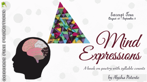 Excerpt Tour: Mind Expressions | Joanne Guidoccio