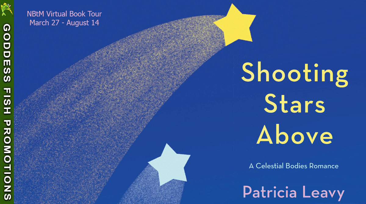 Spotlight on Shooting Stars Above | Joanne Guidoccio